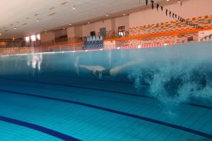 How Fast Can A Human Swim? Here’s What You Should Know