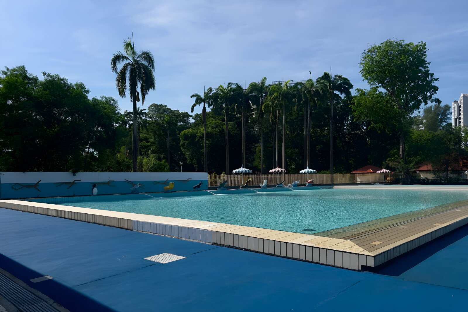 Where To Swim In Singapore: 18 Best Places For All Skill Level - SwimHub