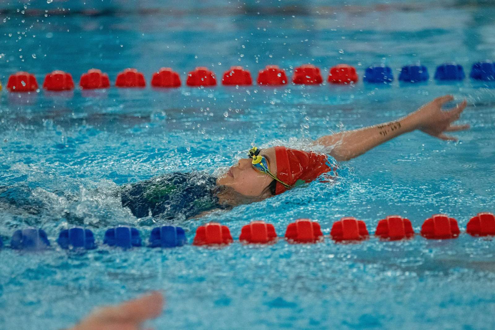 History Of Swimming Strokes: How Techniques Evolved - SwimHub